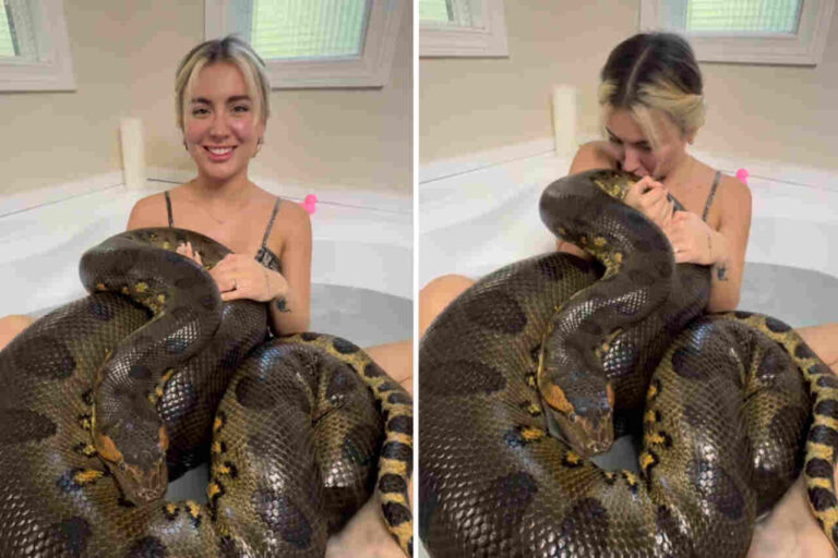 Impressive video shows woman in a bathtub with a giant snake - Pet e pop